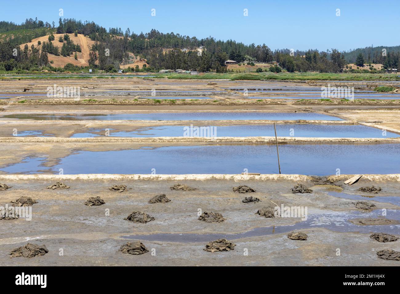 Salinas de Cáhuil and Laguna Cáhuil (Pichilemu) - Chile Stock Photo - Alamy