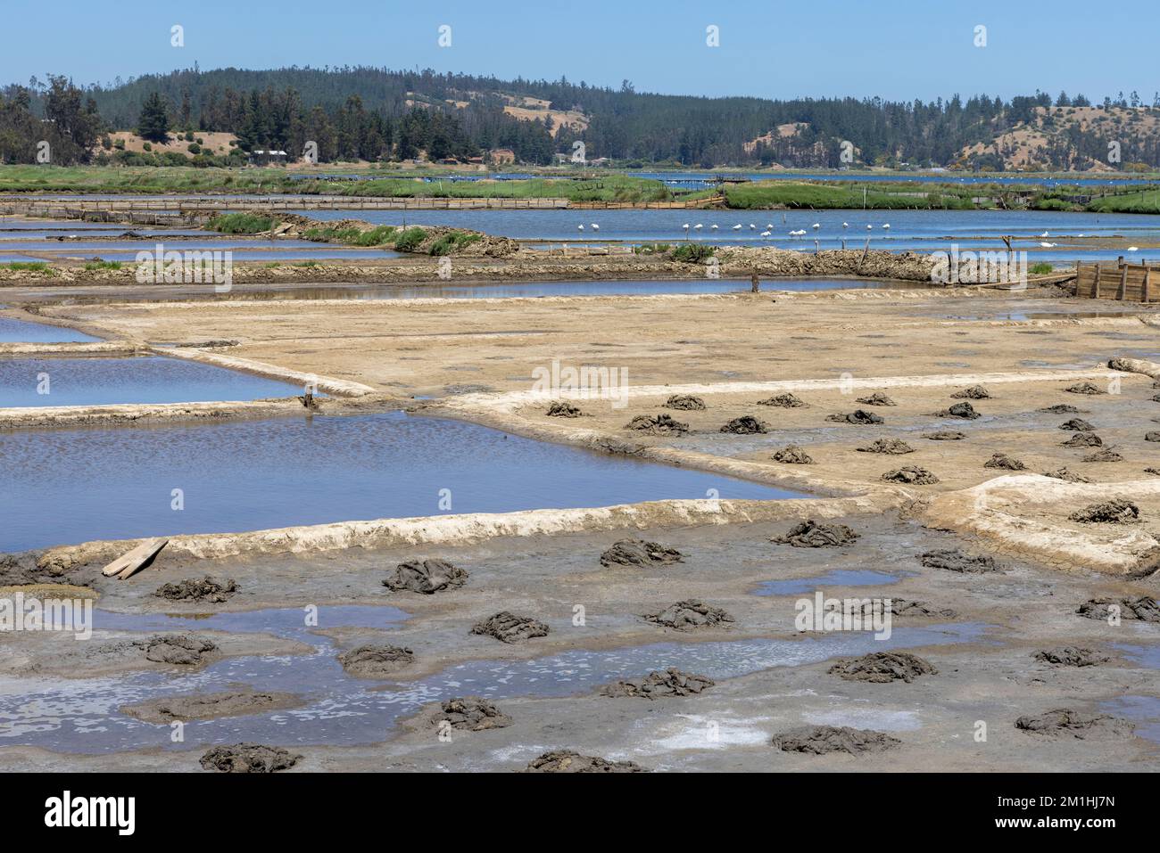 Salinas de Cáhuil and Laguna Cáhuil (Pichilemu) - Chile Stock Photo - Alamy