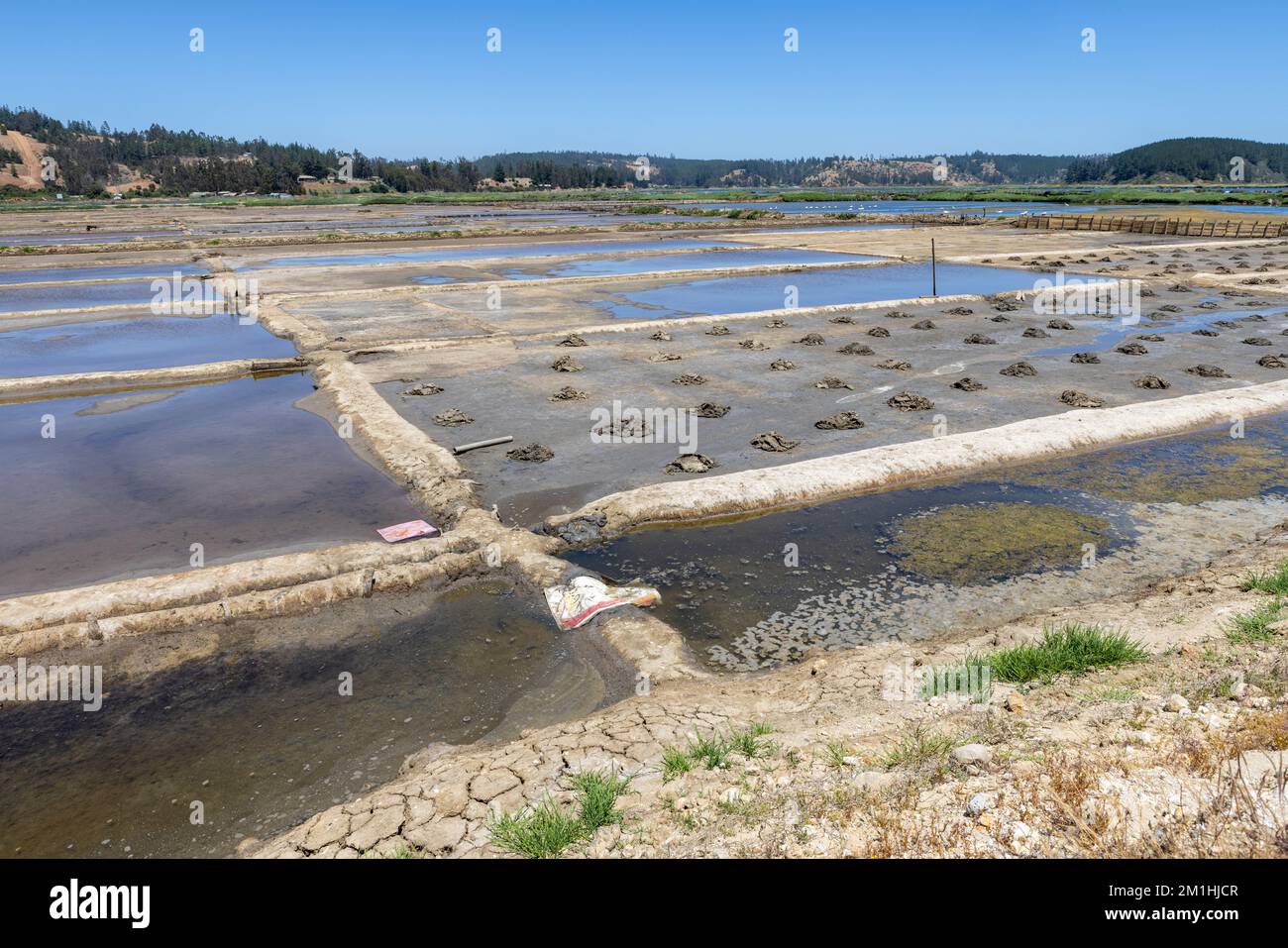 Salinas de Cáhuil and Laguna Cáhuil (Pichilemu) - Chile Stock Photo - Alamy