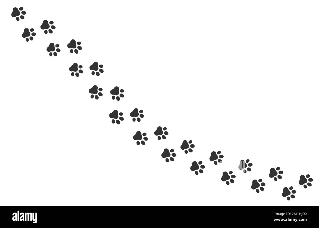 Dog footprint vector way. Cat footprint icon isolated pet silhouette path print Stock Vector ...