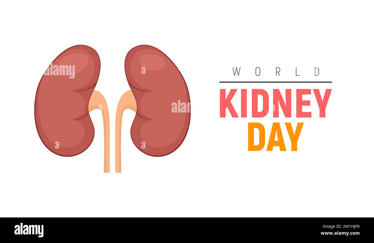 World Kidney Day healthy vector poster. Human kidney health awareness ...