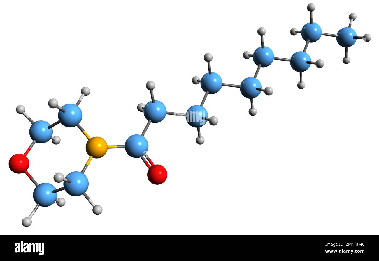 3D image of 4-Nonanoylmorpholine skeletal formula - molecular chemical ...