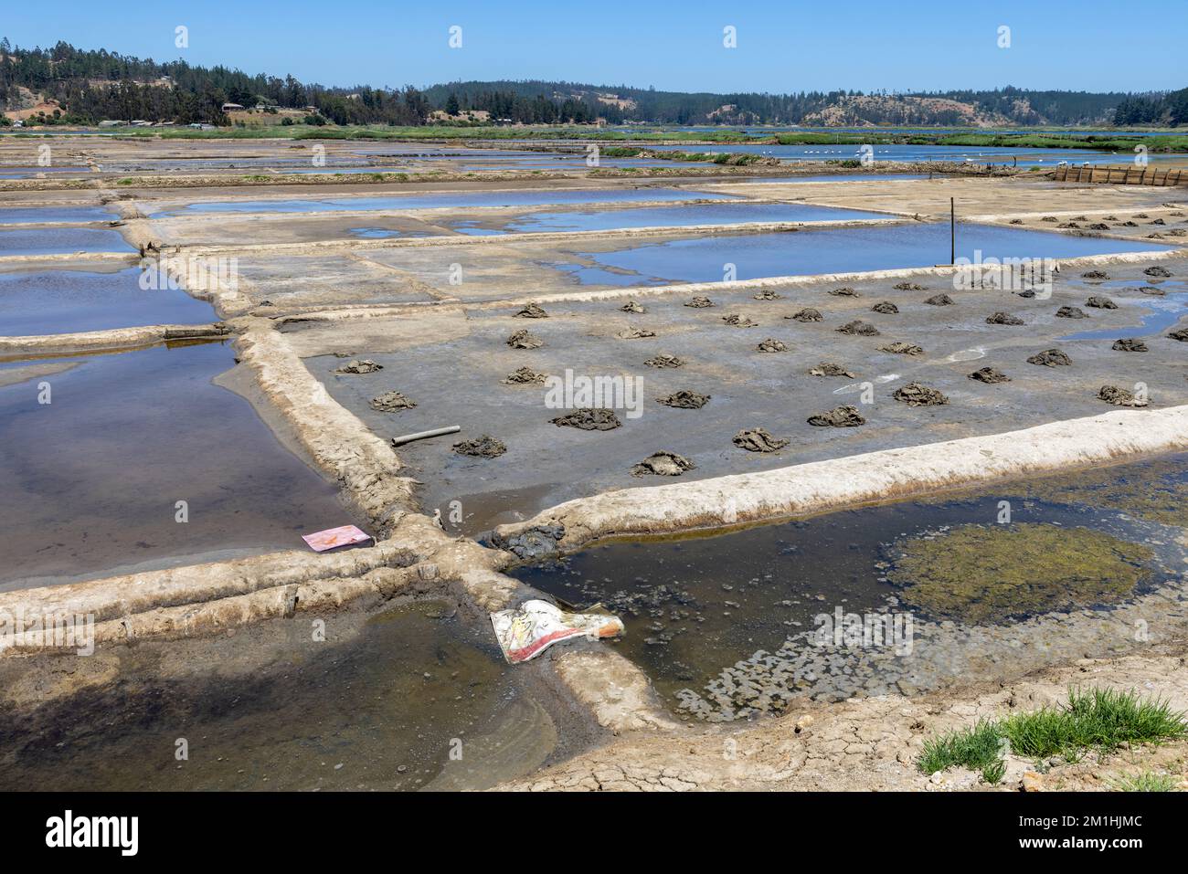 Salinas de Cáhuil and Laguna Cáhuil (Pichilemu) - Chile Stock Photo - Alamy