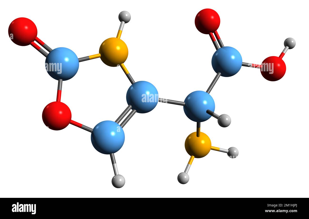 3D image of Muscazone skeletal formula - molecular chemical structure ...