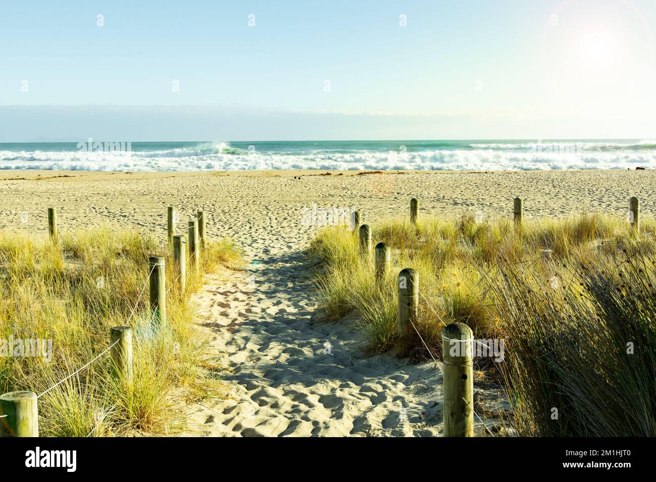 Path through sand between roped bollards and beach vegetation to beach ...
