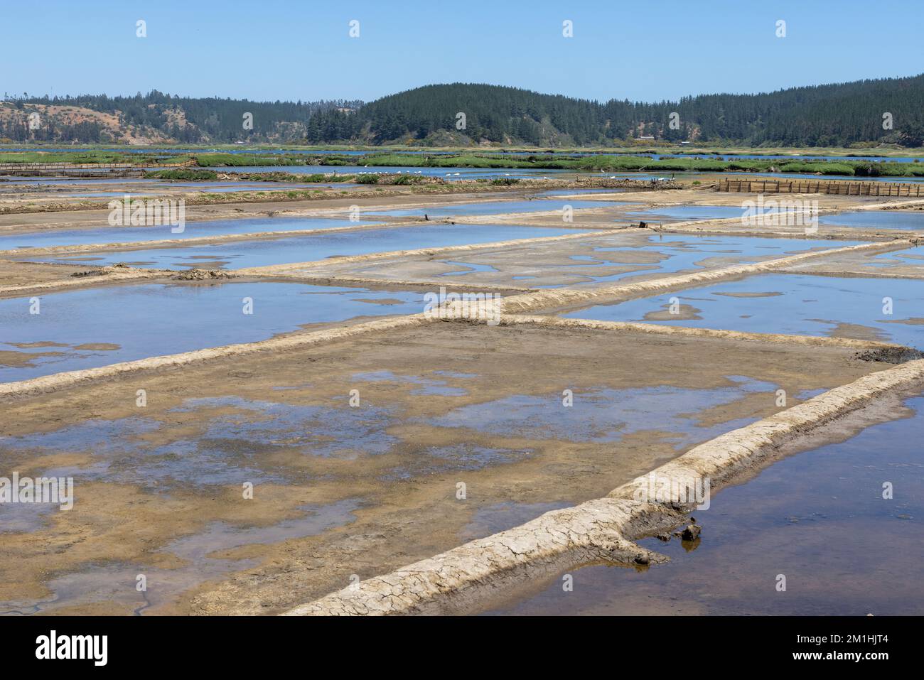 Salinas de Cáhuil and Laguna Cáhuil (Pichilemu) - Chile Stock Photo - Alamy
