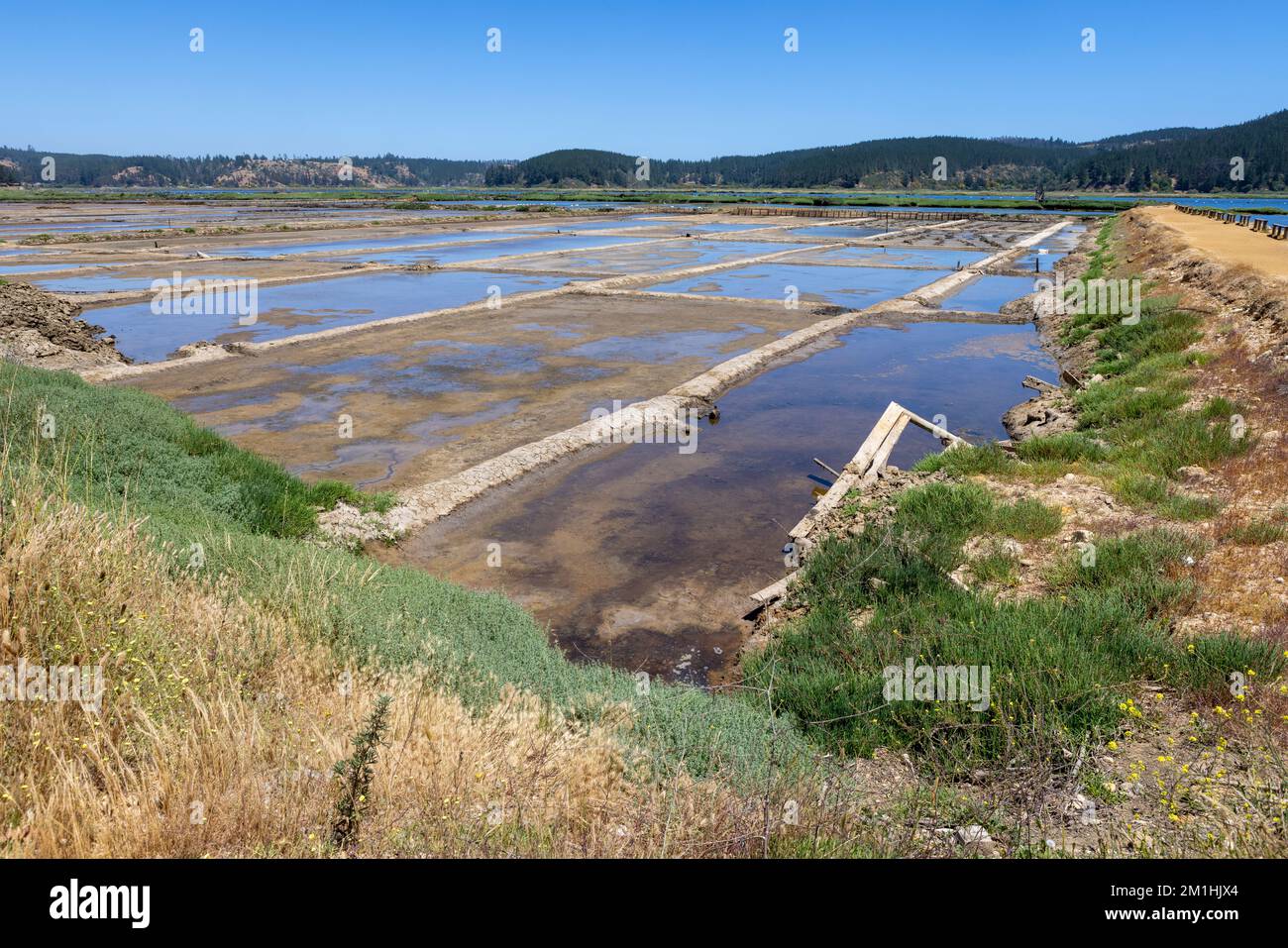 Salinas de Cáhuil and Laguna Cáhuil (Pichilemu) - Chile Stock Photo - Alamy