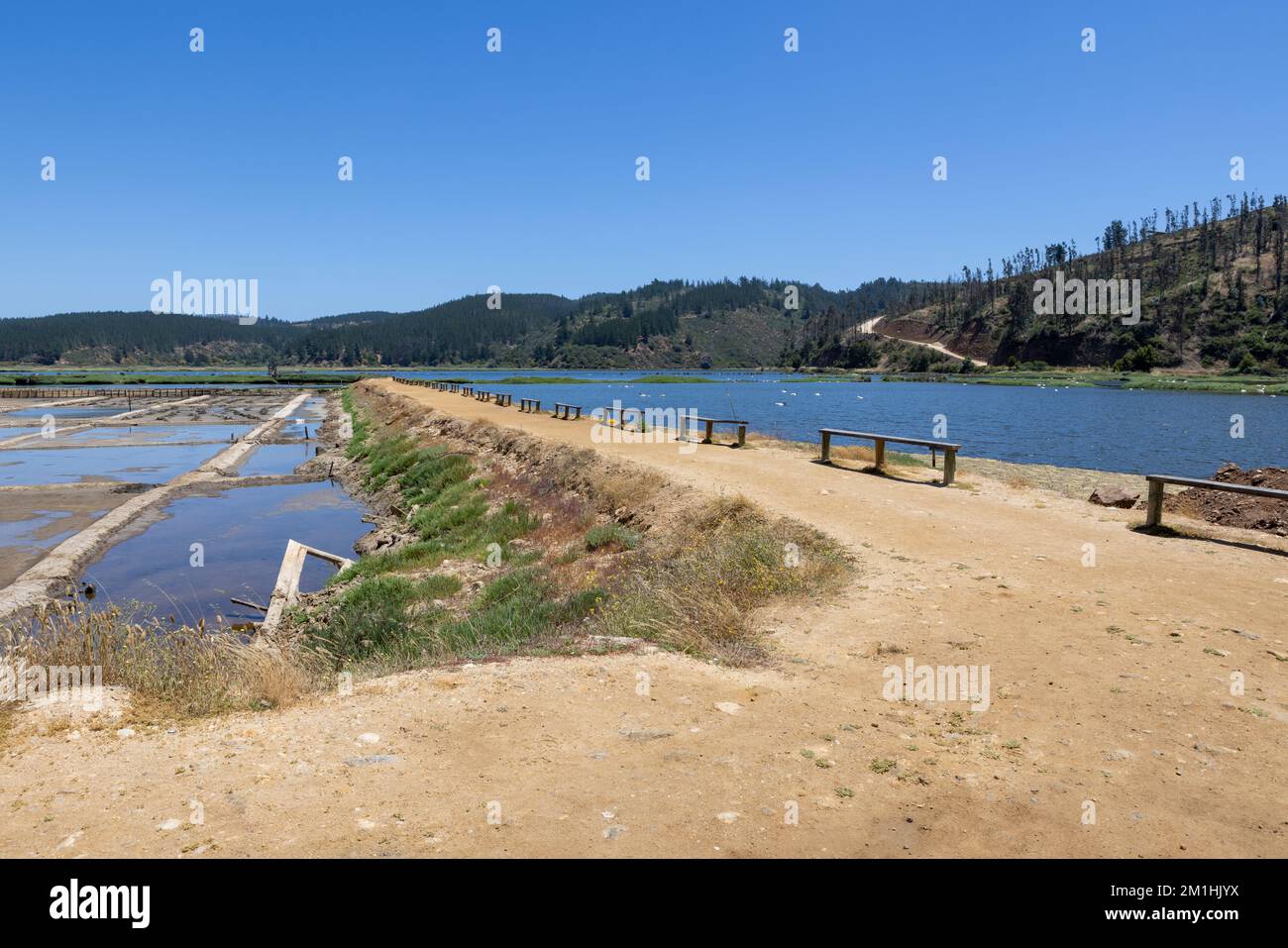 Salinas de Cáhuil and Laguna Cáhuil (Pichilemu) - Chile Stock Photo - Alamy