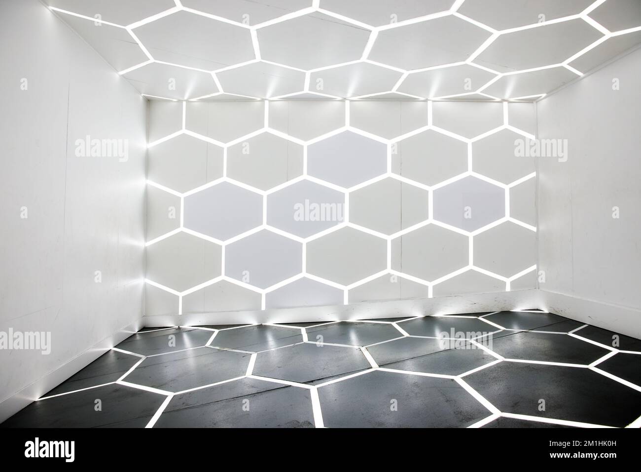 Warped empty white room with octagon LED lights along floor, wall, and ...