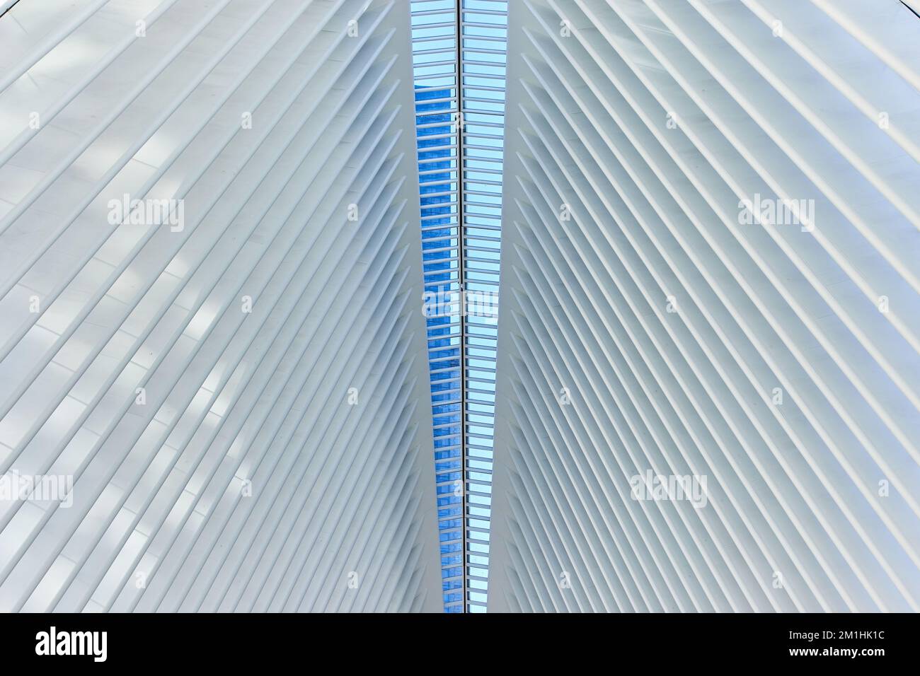 Clean white architecture ribs with skylight along center Stock Photo ...