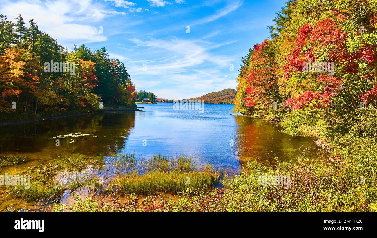 Aerial view fall trees low hi-res stock photography and images - Alamy