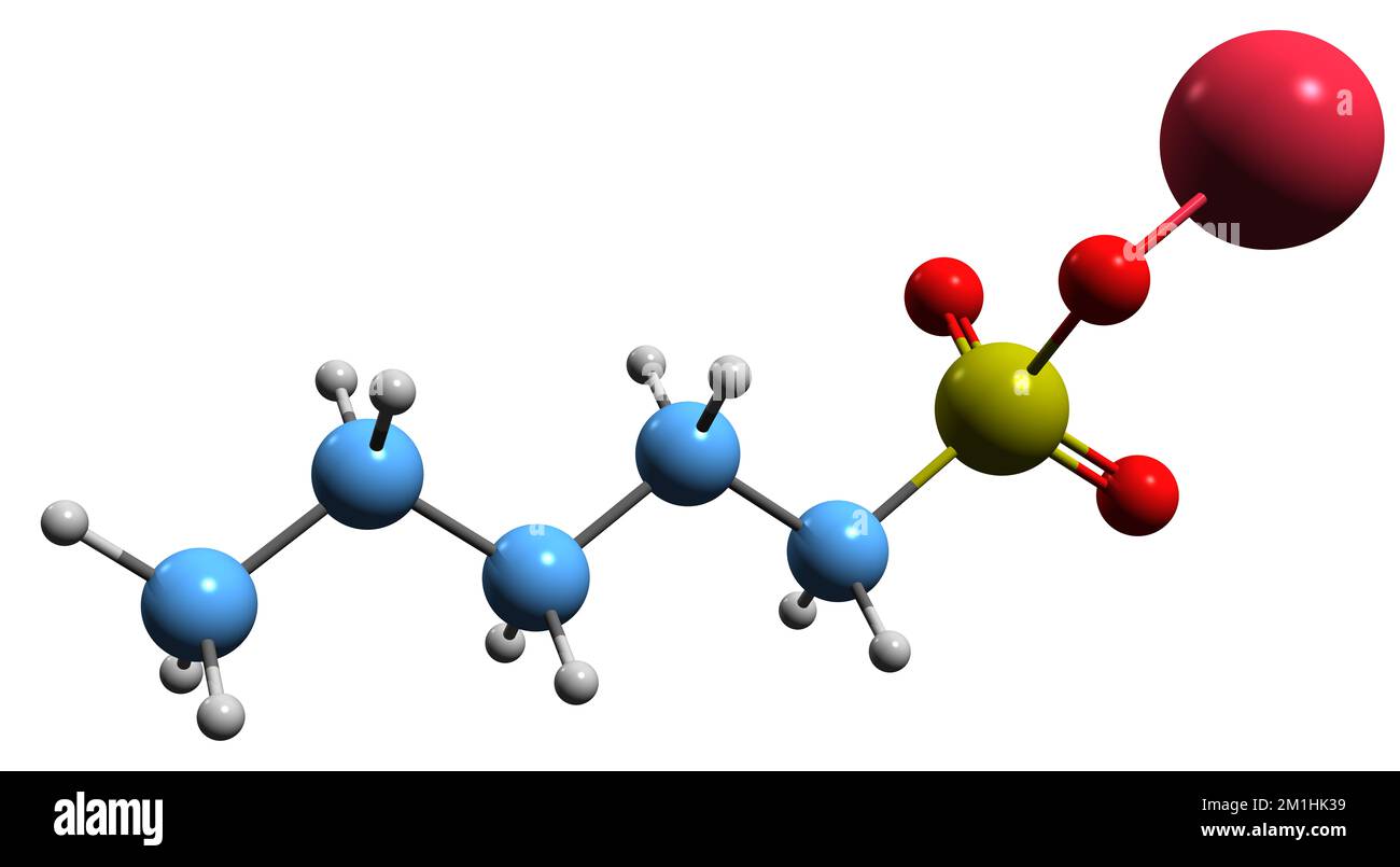 3D image of Sodium pentanesulfonate skeletal formula - molecular chemical structure of Sodium ...