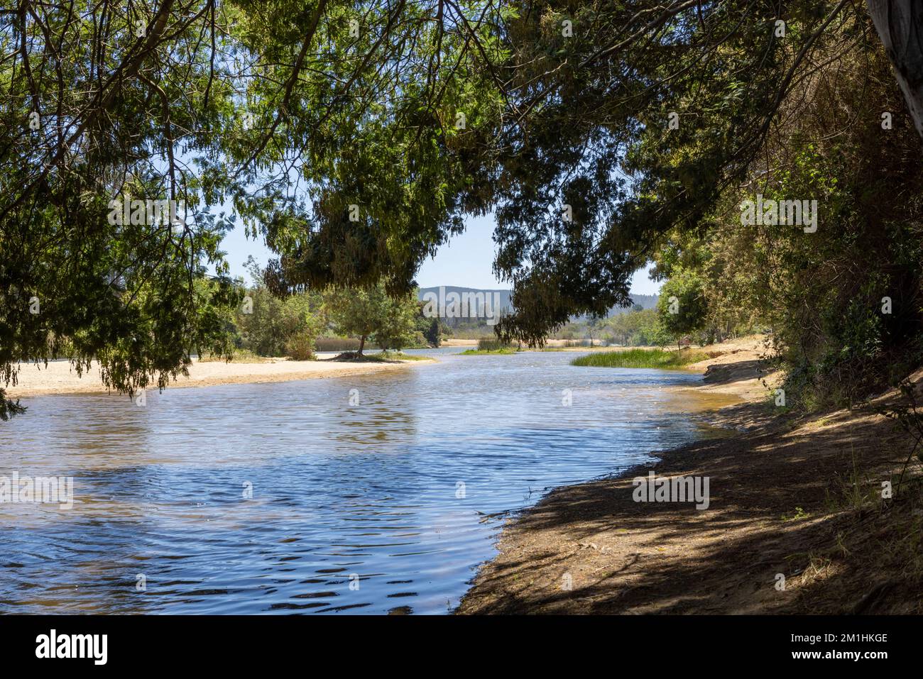 Laguna Cáhuil (Pichilemu) - Chile Stock Photo - Alamy