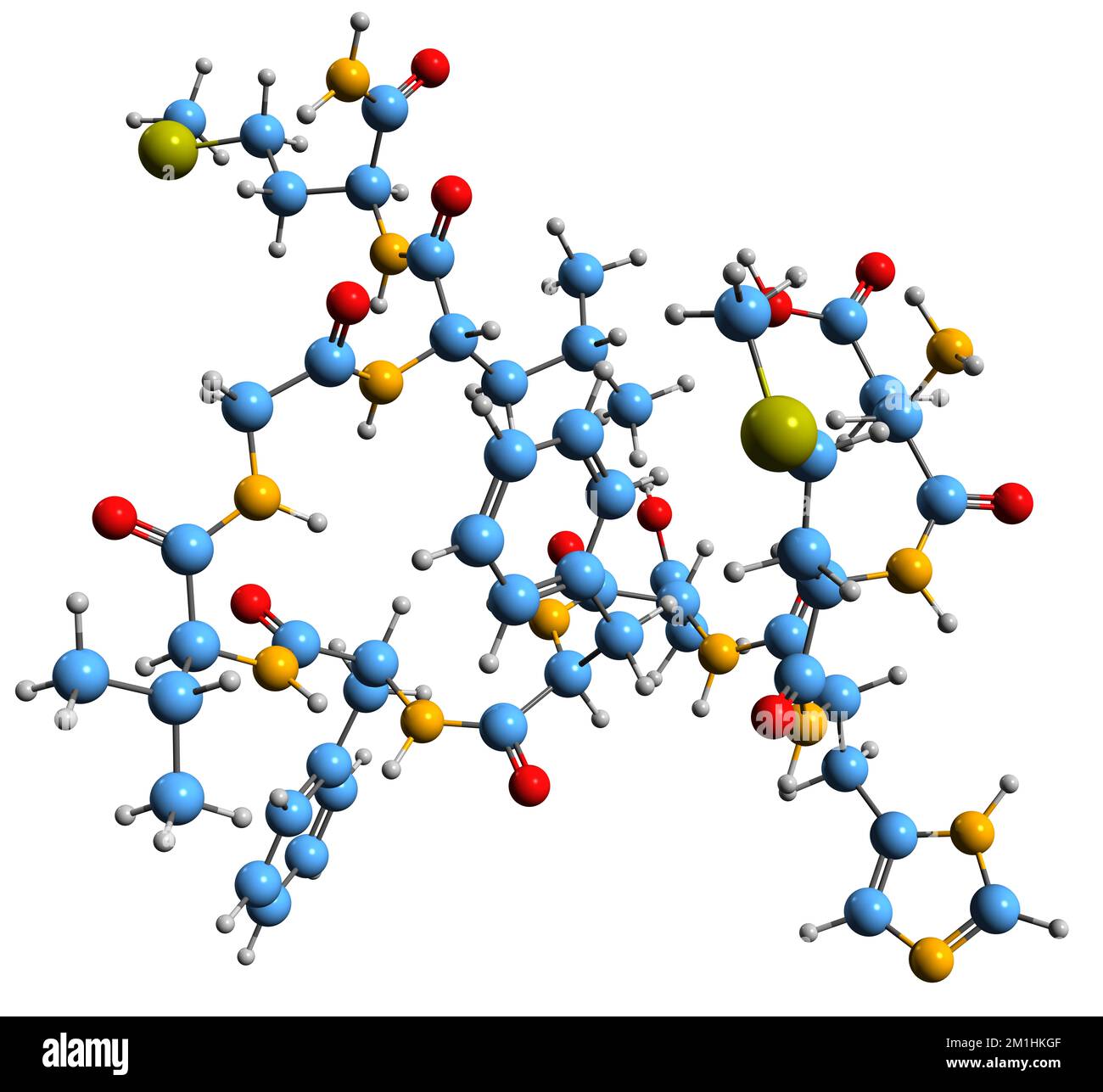 Neurokinin b hi-res stock photography and images - Alamy