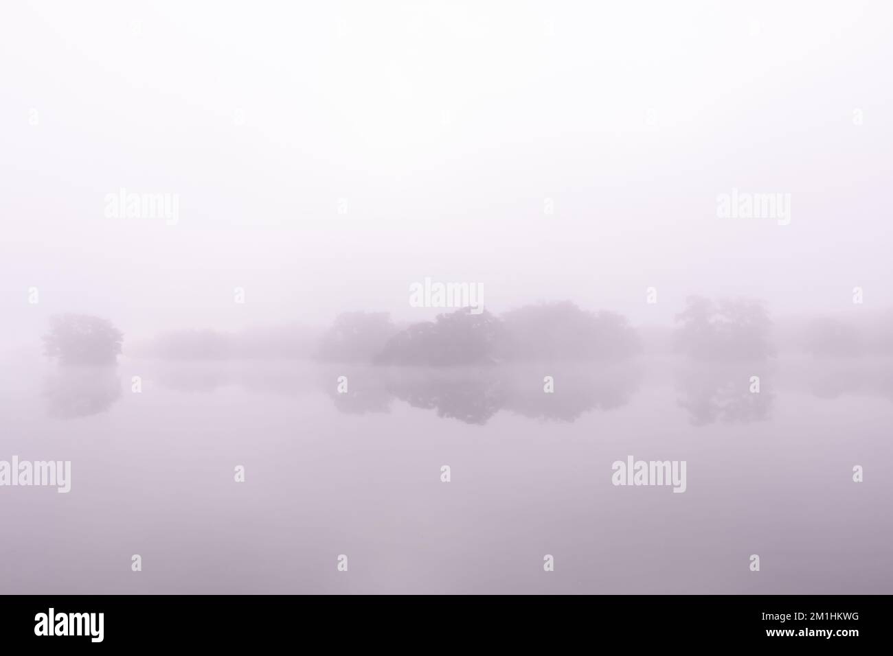 Misty tree line hi-res stock photography and images - Alamy
