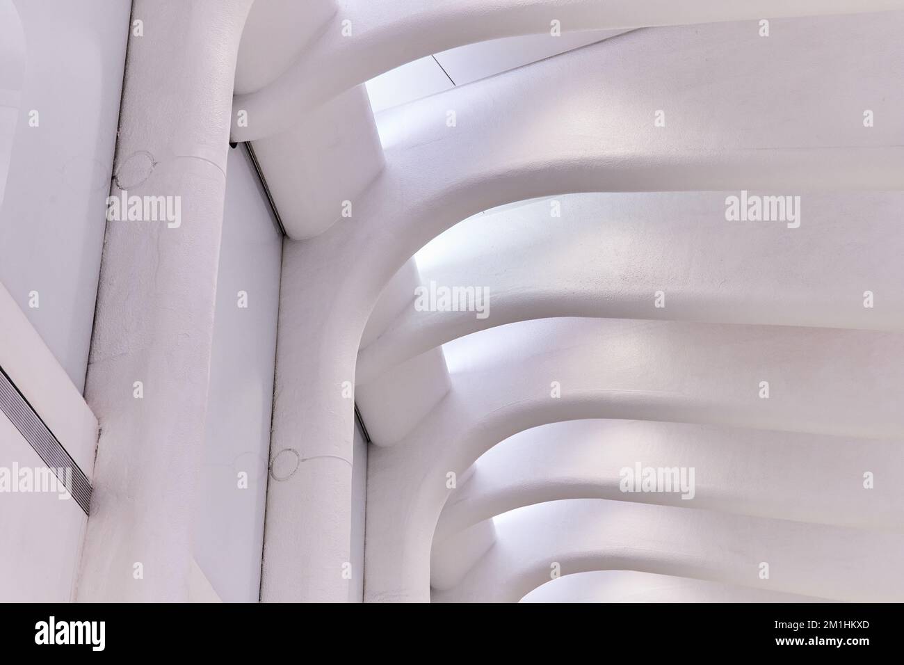 Abstract white rib architecture on ceiling of modern train station ...