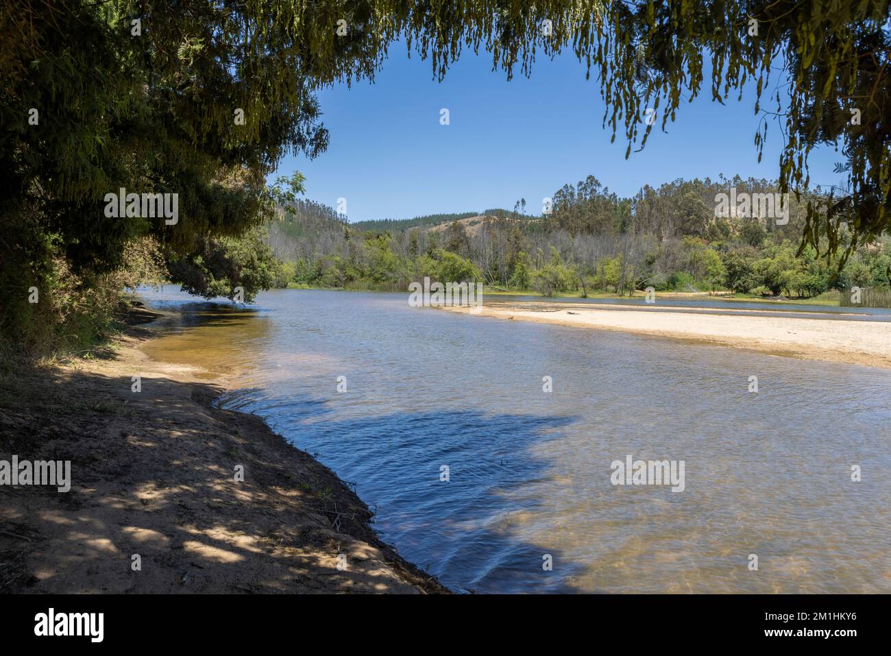 Laguna Cáhuil (Pichilemu) - Chile Stock Photo - Alamy