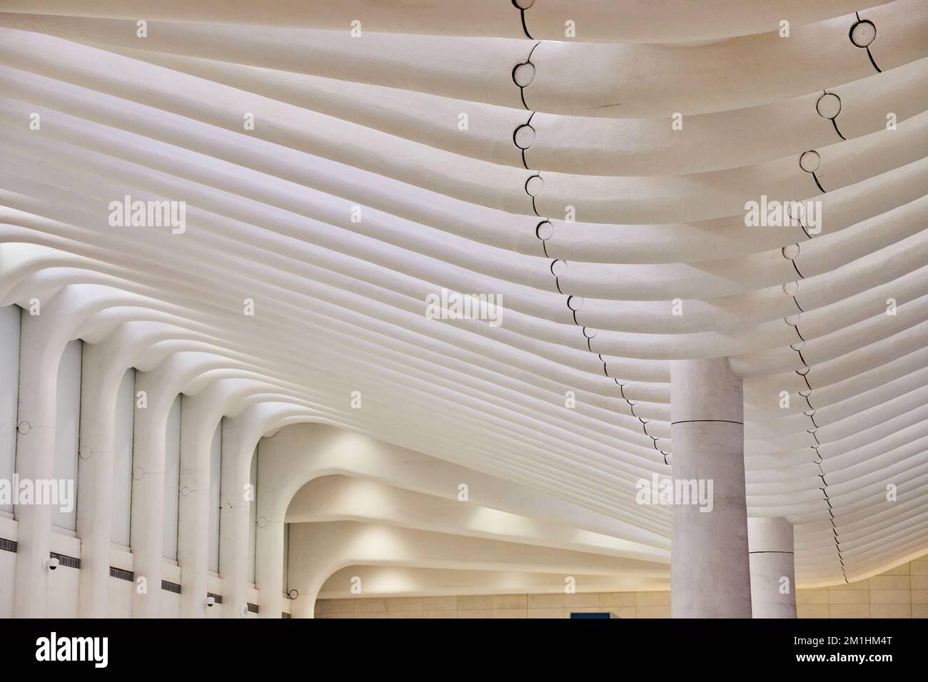 Clean white interior architecture ceiling with pillars and white ribs ...