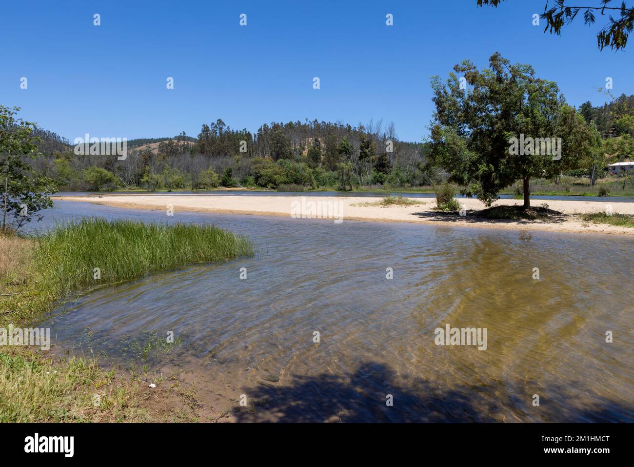 Laguna Cáhuil (Pichilemu) - Chile Stock Photo - Alamy