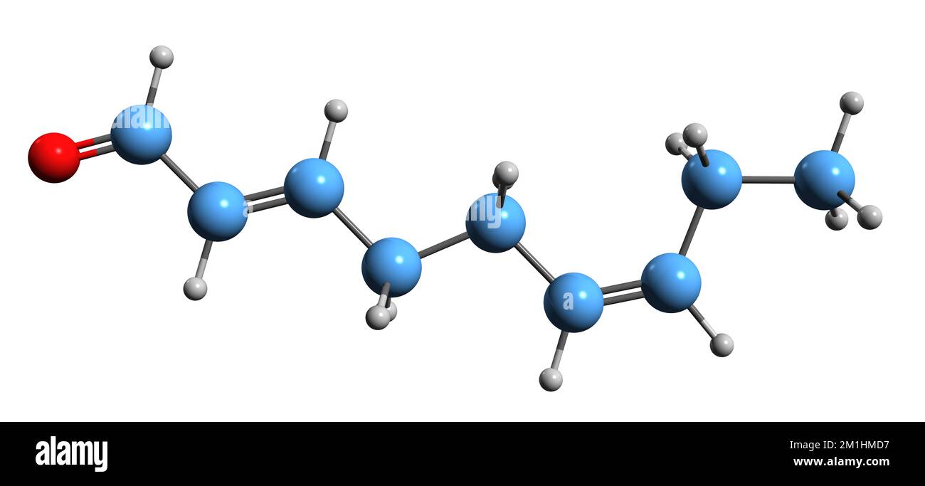 3D image of Nonadienal skeletal formula - molecular chemical structure ...