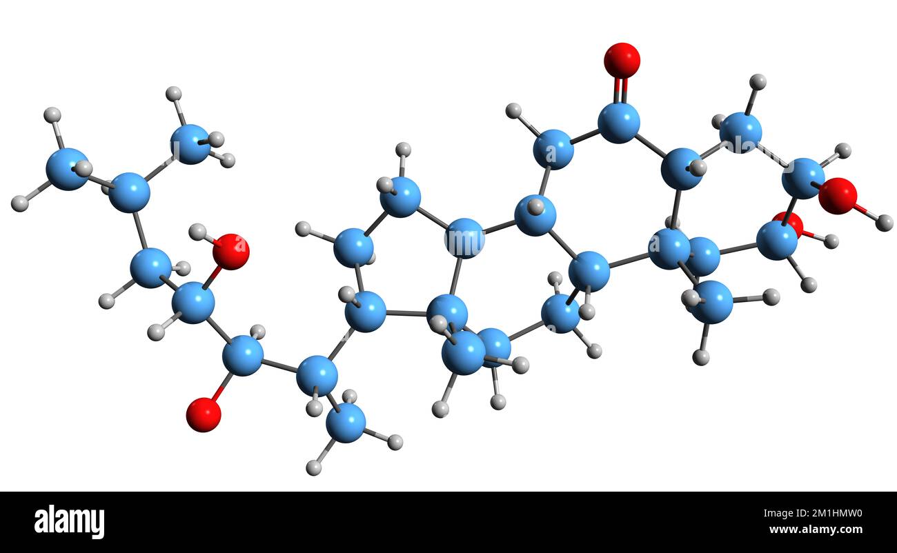 3D image of 28-Norcastasterone skeletal formula - molecular chemical ...