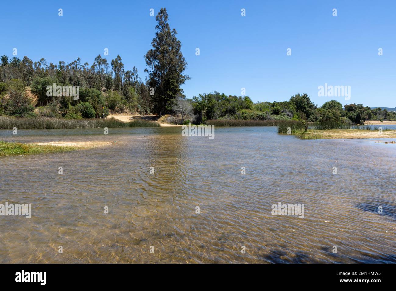 Laguna Cáhuil (Pichilemu) - Chile Stock Photo - Alamy