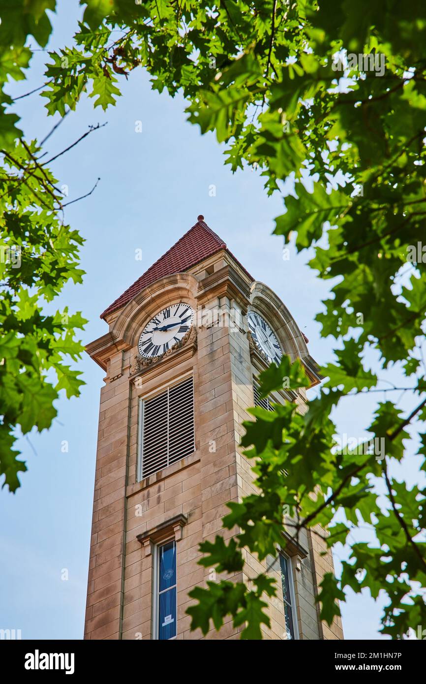Green leaves frame limestone clock tower on college campus Stock Photo ...