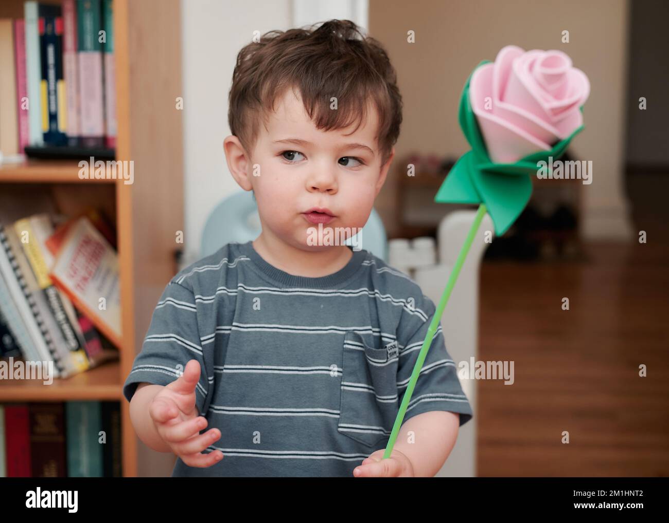 Little boy rose one person hi-res stock photography and images - Alamy