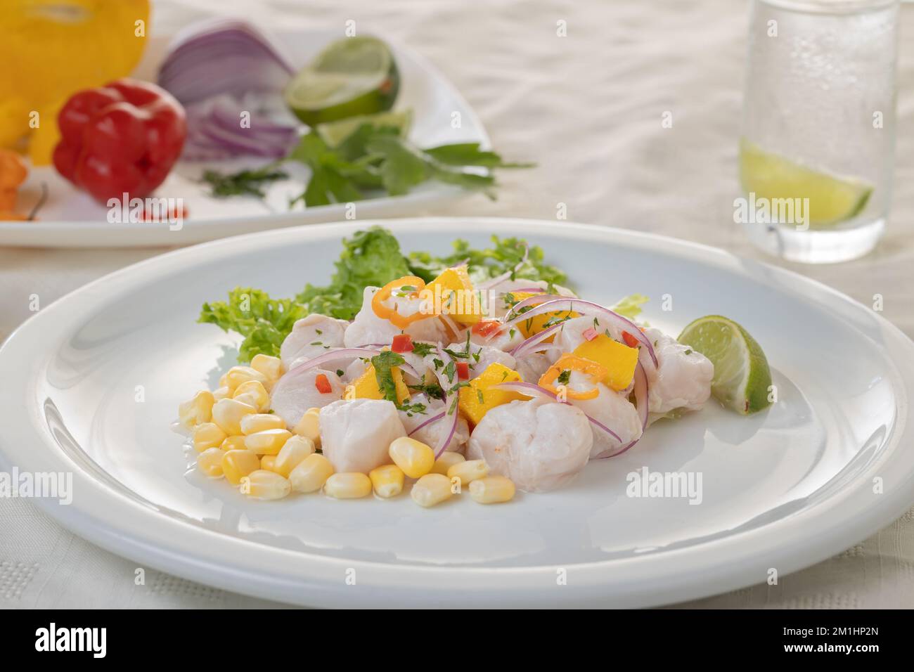Ceviche, typical fish-based dish of Peruvian cuisine on white plate ...