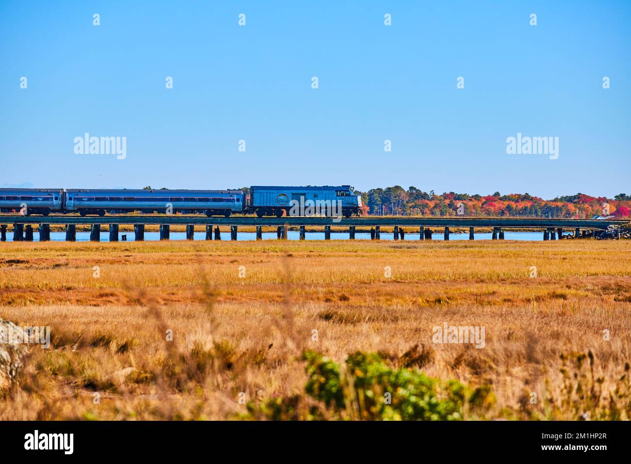Detail of Amtrak train driving across water bridge in marshes during ...