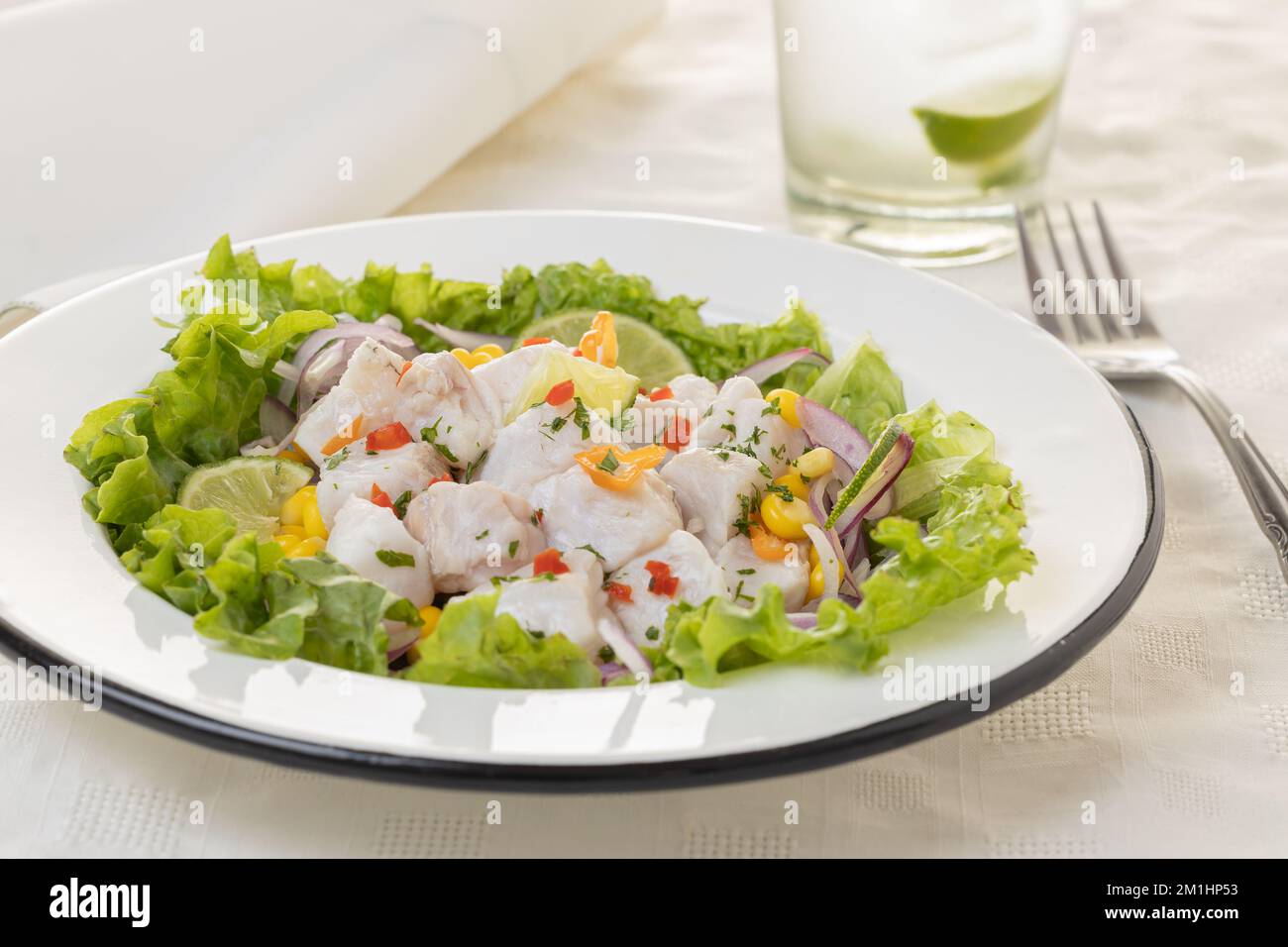 Close up of Ceviche, typical fish-based dish of Peruvian cuisine Stock ...
