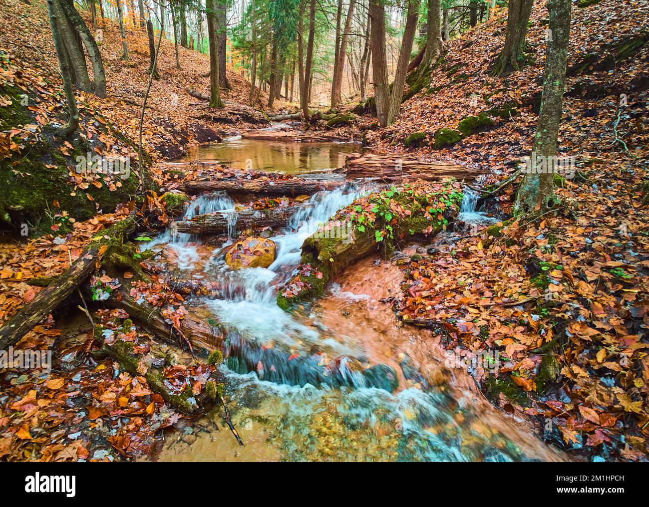 Small river creek with cascading waterfalls in beautiful fall forest covered in orange leaves ...