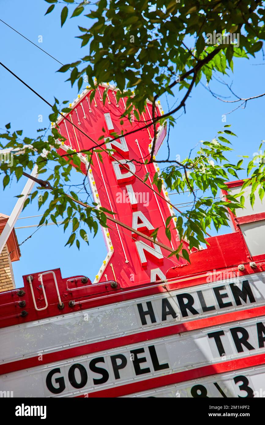 House of leaves movie hi-res stock photography and images - Alamy