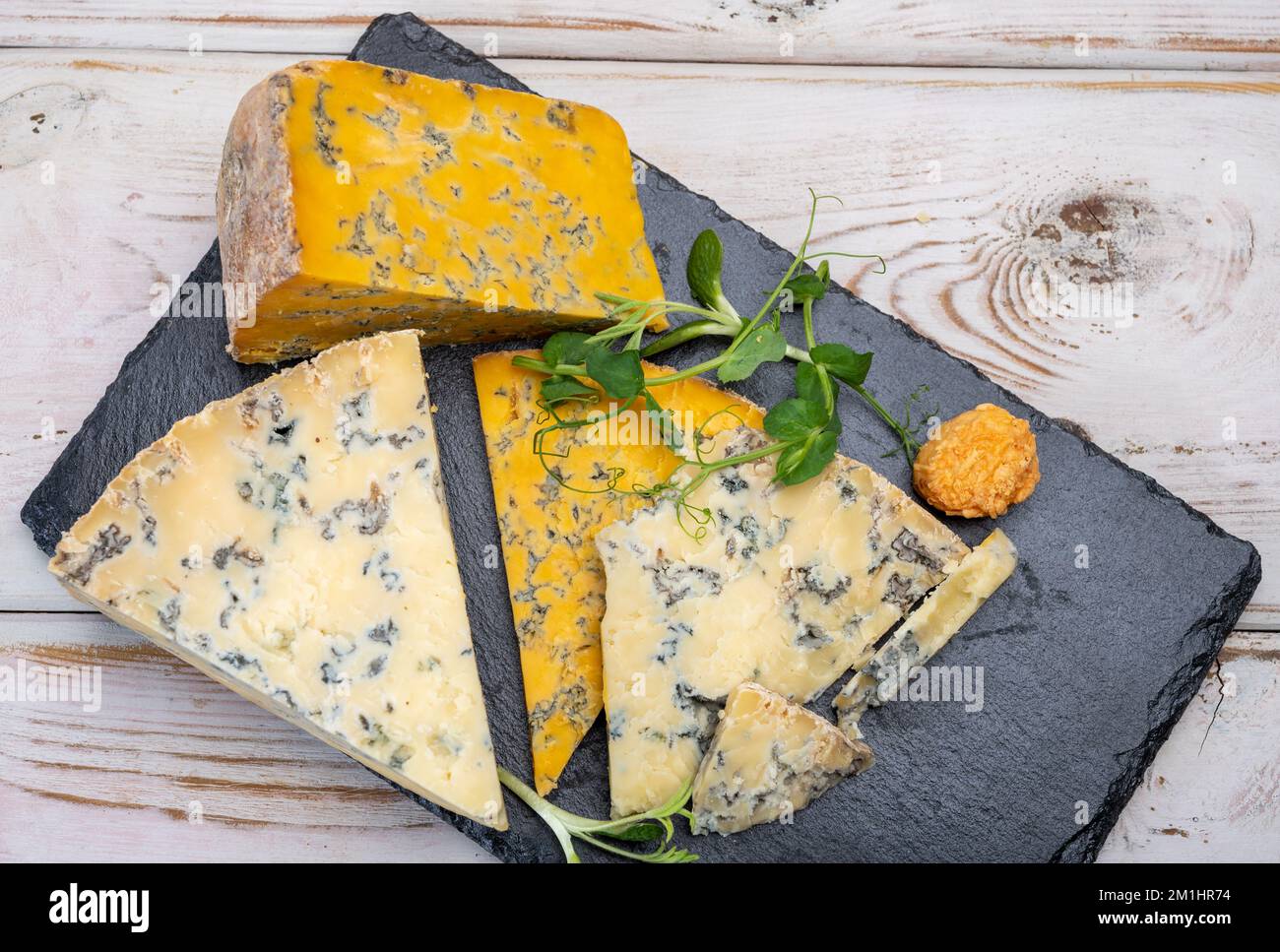 Tasting of English cheeses blue stilton and blue shropshire close up ...