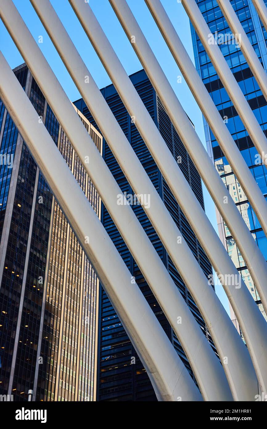 Rib Architecture Definition at Tami Smith blog