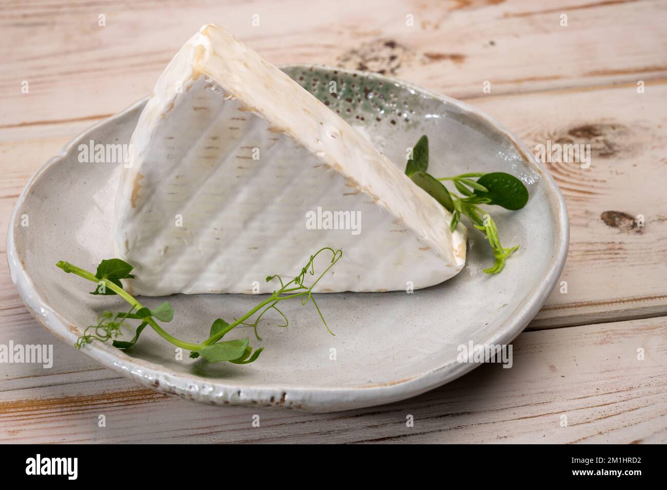 Cheese collection, French brie de Meaux cheese from Seine-et-Marne ...