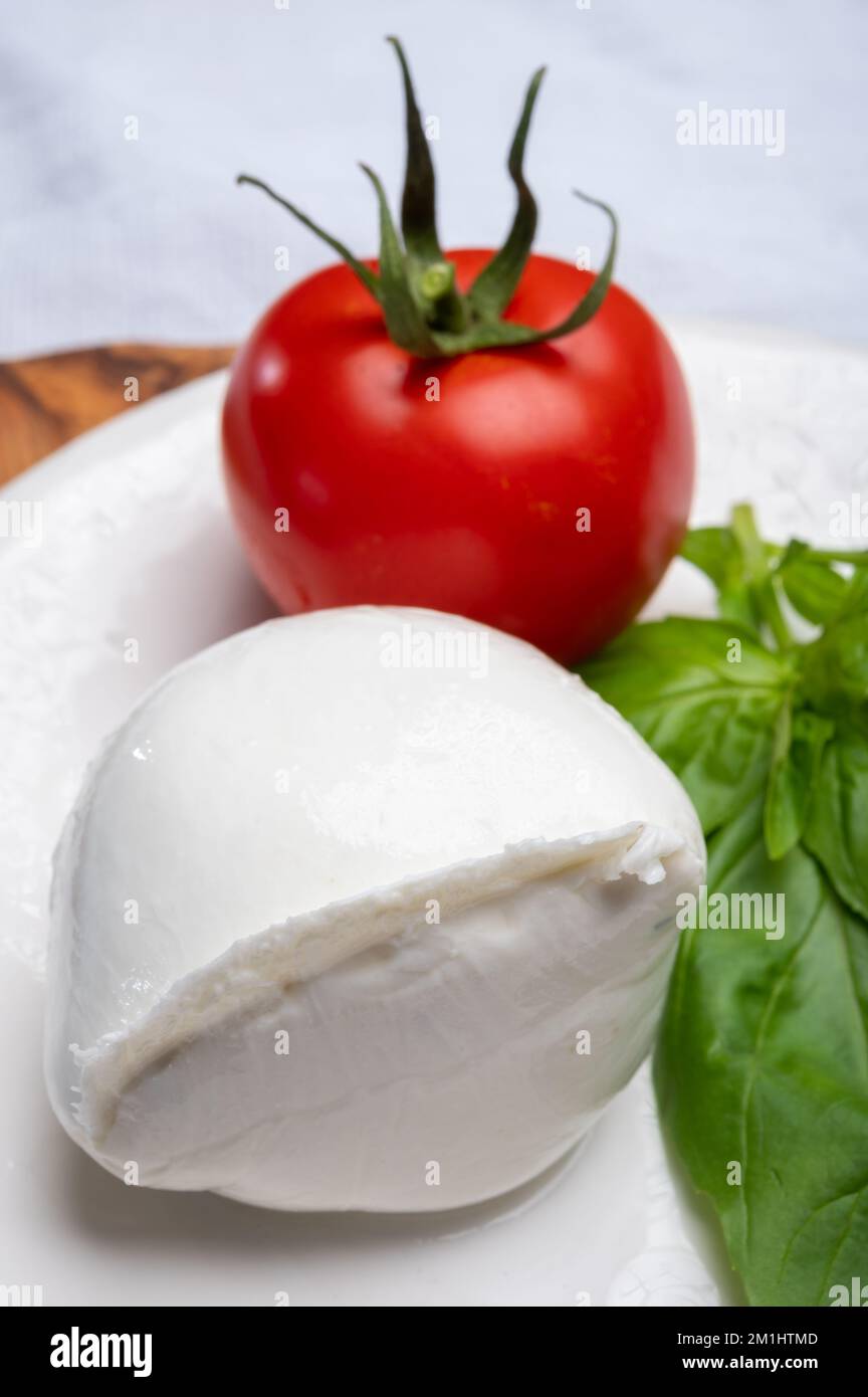 Bufala animal hi-res stock photography and images - Alamy