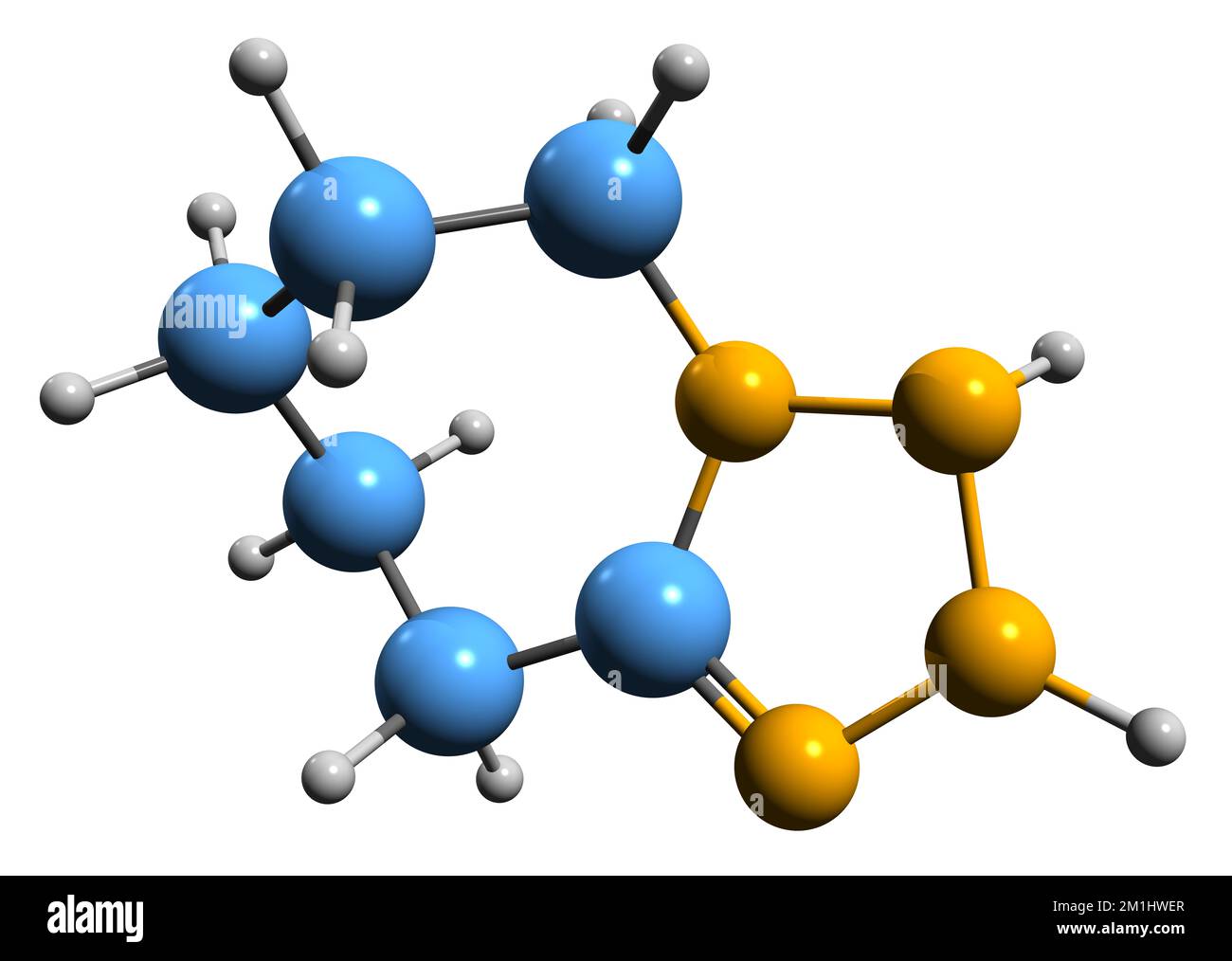 3D image of Pentylenetetrazol skeletal formula - molecular chemical ...