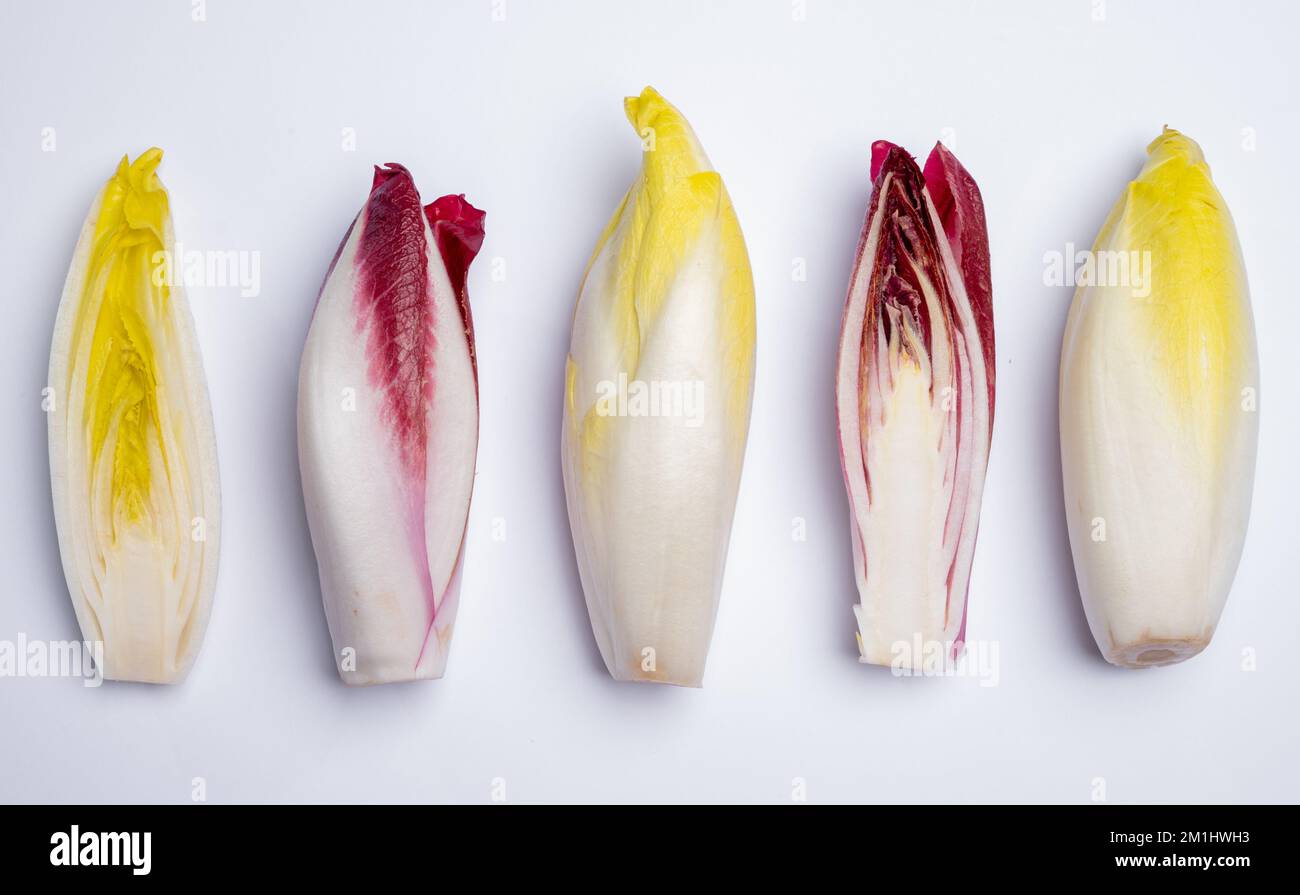 Fresh organic Belgian endivi or bitter green and red chicory lettuce ...