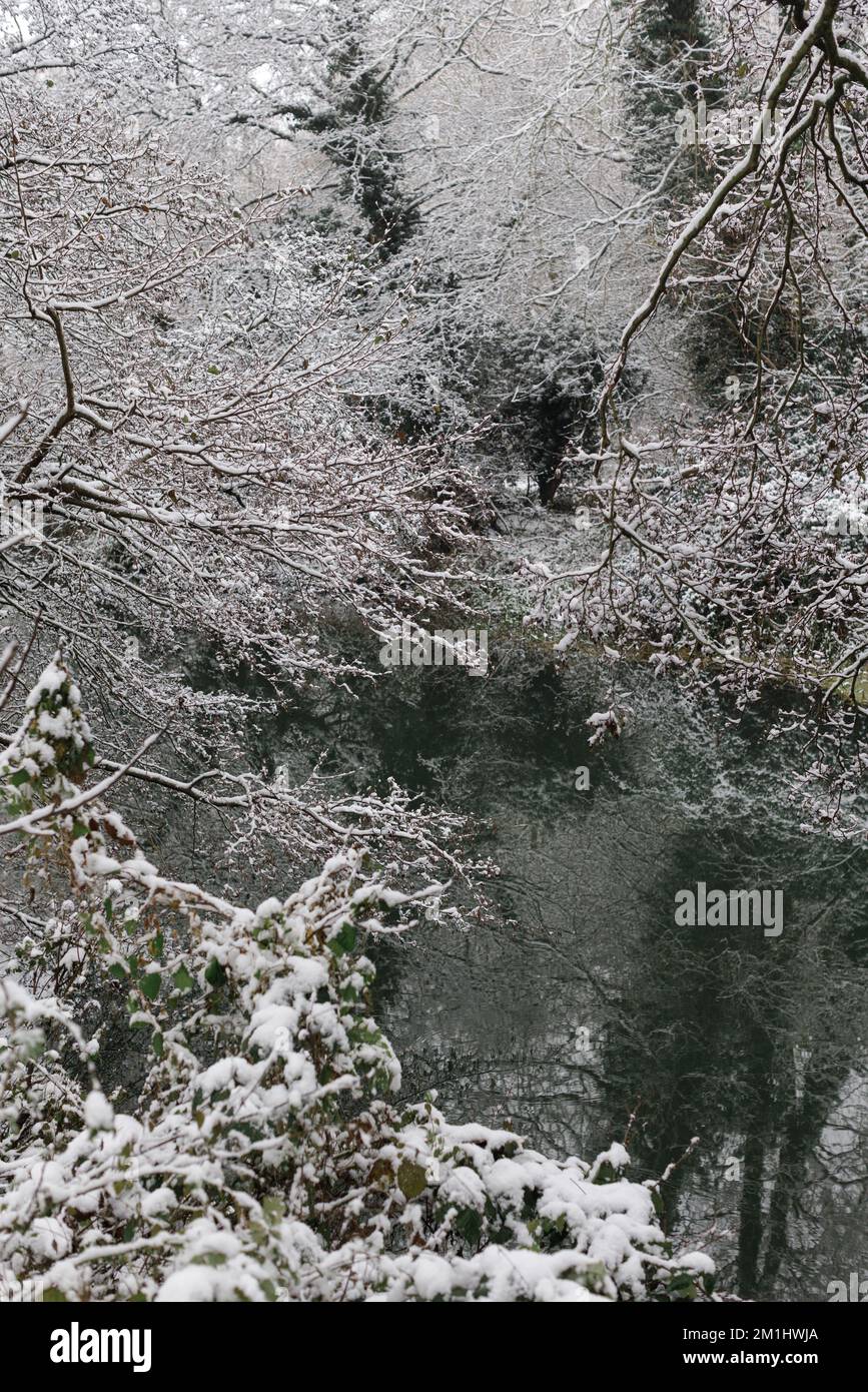 Snow covered trees of a winter wonderland on a frosty day by the River ...