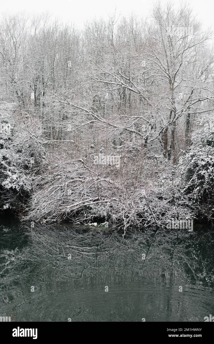 Snow covered trees overhanging a river hi-res stock photography and ...