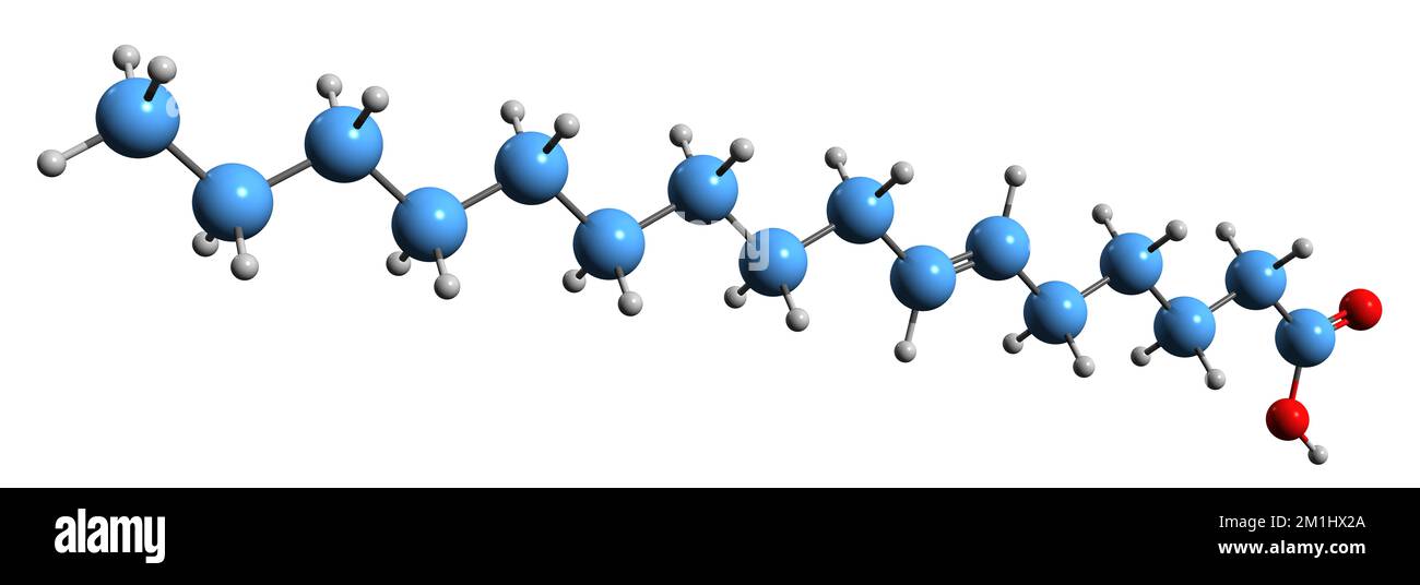 3D image of Petroselinic acid skeletal formula - molecular chemical ...