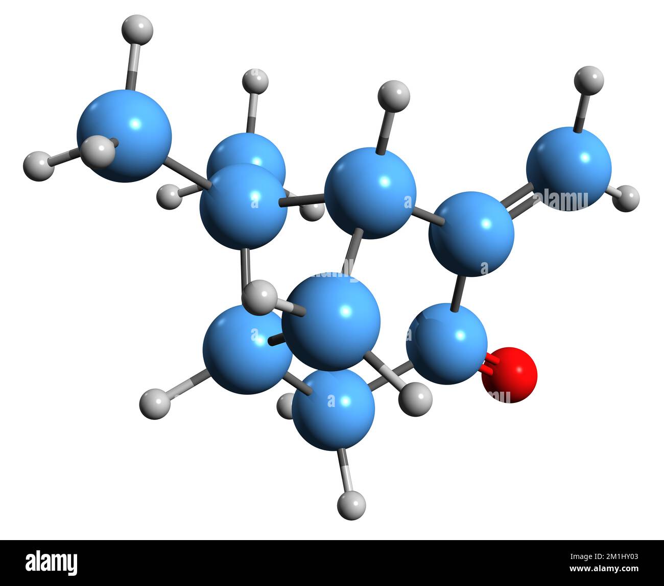 3D image of Pinocarvone skeletal formula - molecular chemical structure ...