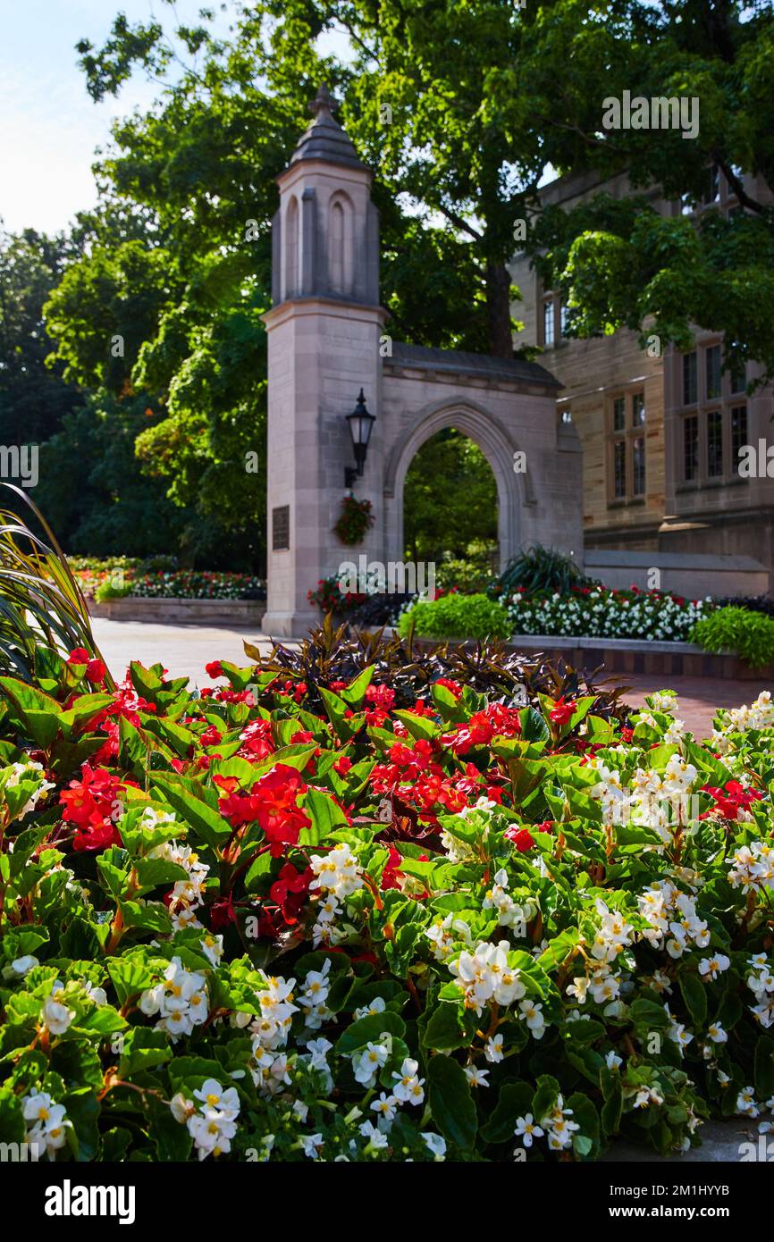 Red and white flowers by Sample Gates entrance to college campus in ...