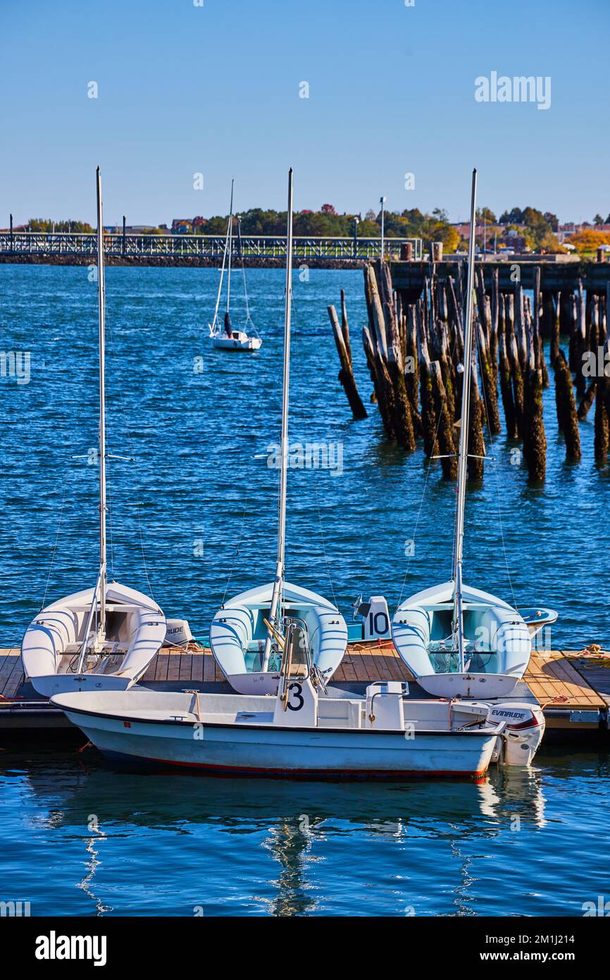 Trio of small white boats on dock with old pilings in background Stock ...