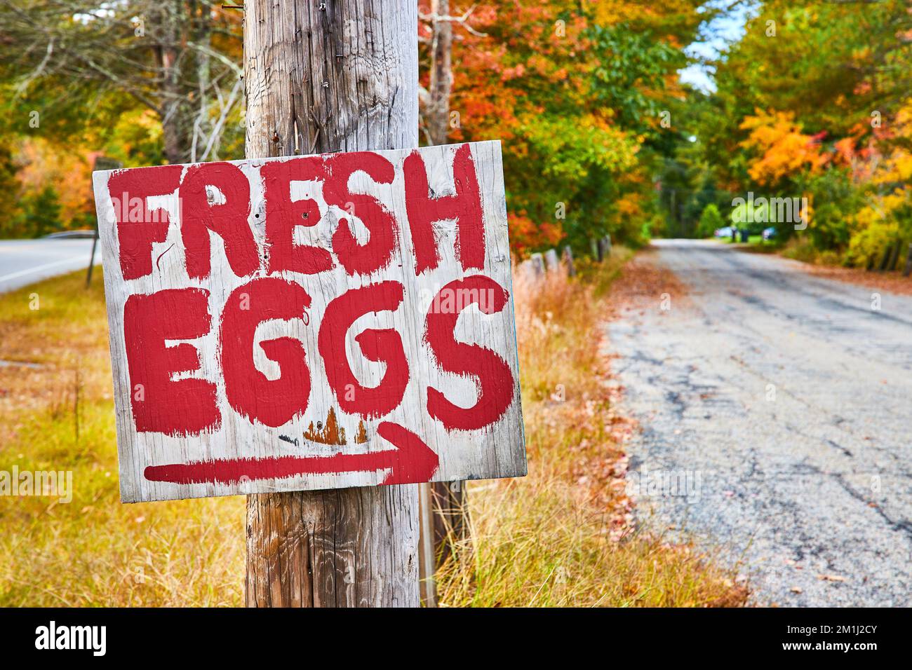 Red painted Fresh Eggs sign with arrow leading down gravel country road ...