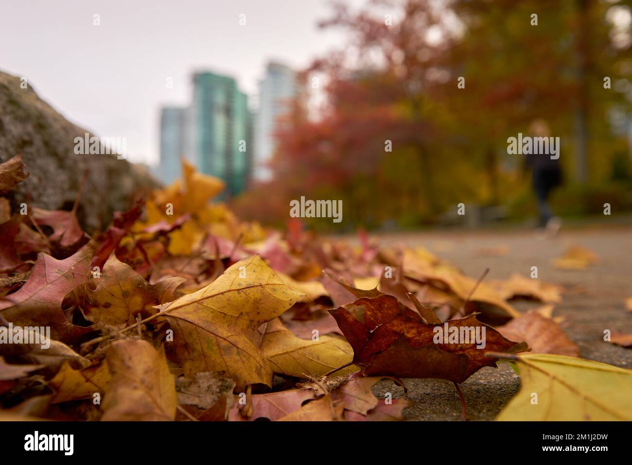 Full gutter hi-res stock photography and images - Alamy