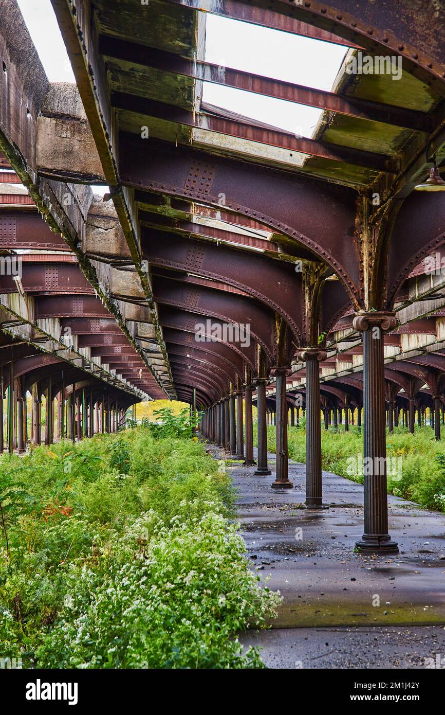 Overgrowth fills old abandoned outside train station with rusting steel ...