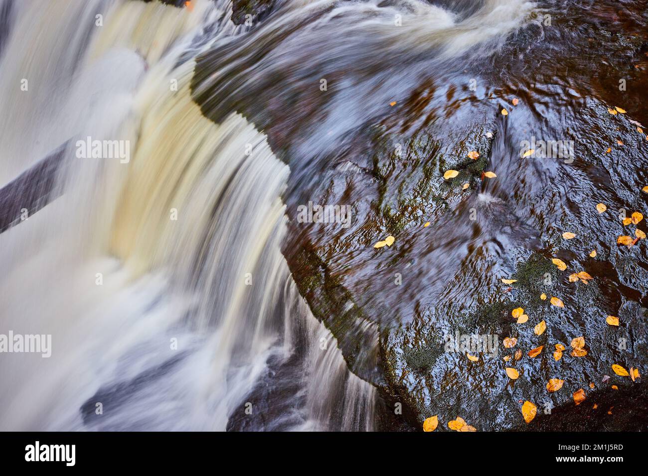 Fall leaves on rocks by raging waterfall edge up close Stock Photo - Alamy