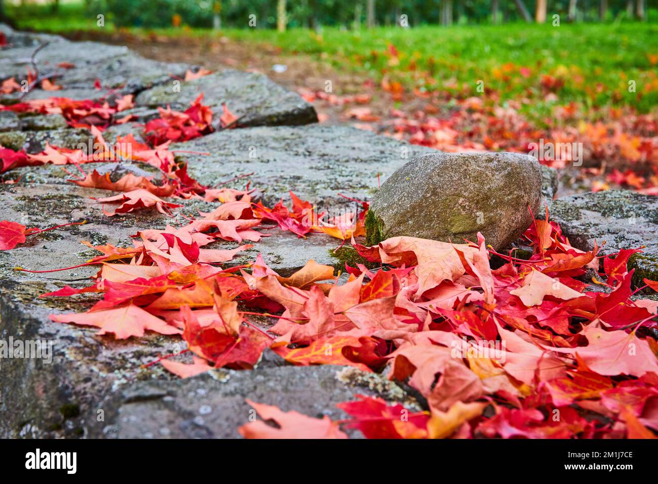 Stone wall with fall color hi-res stock photography and images - Alamy
